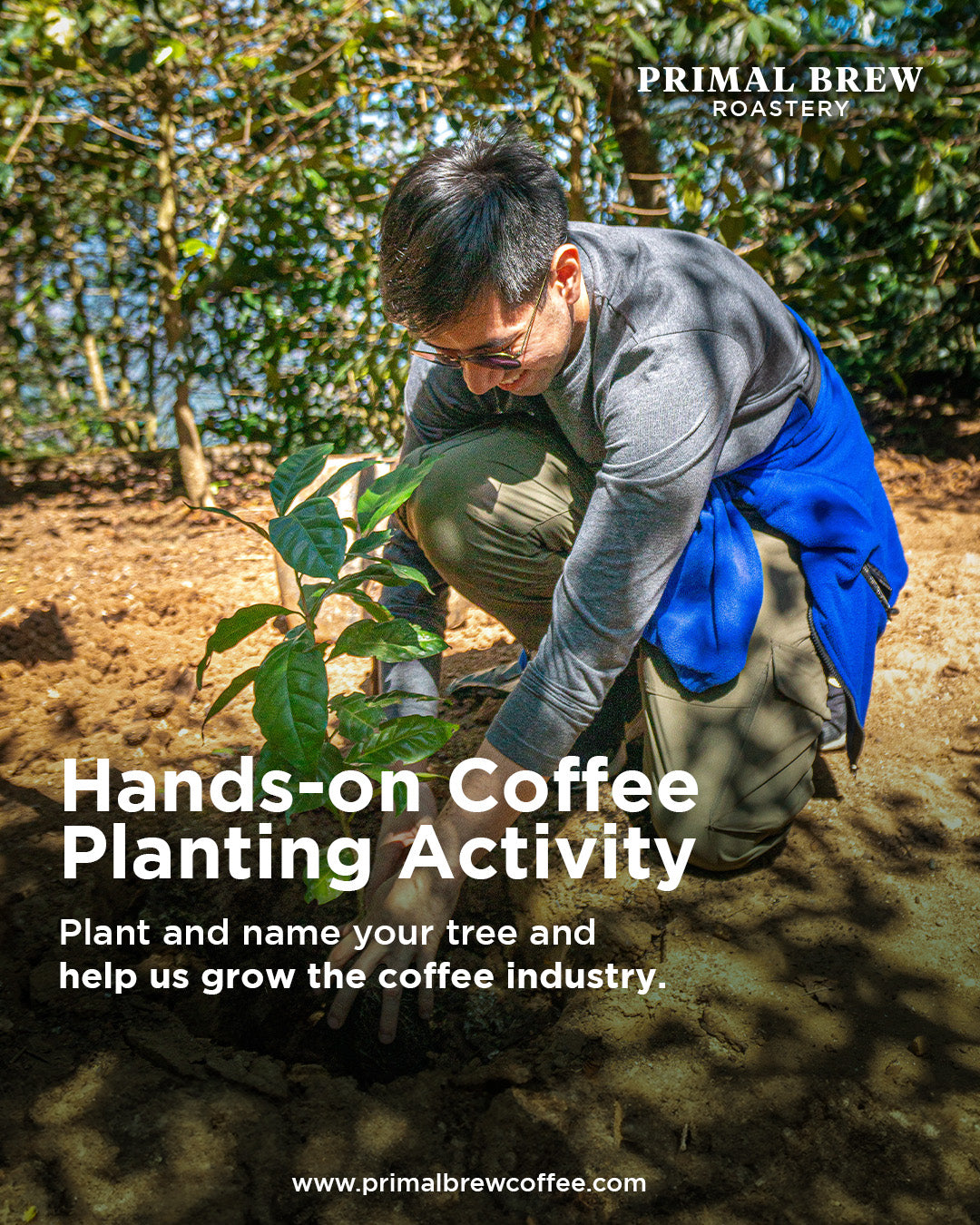 Primal Brew Coffee + Roastery